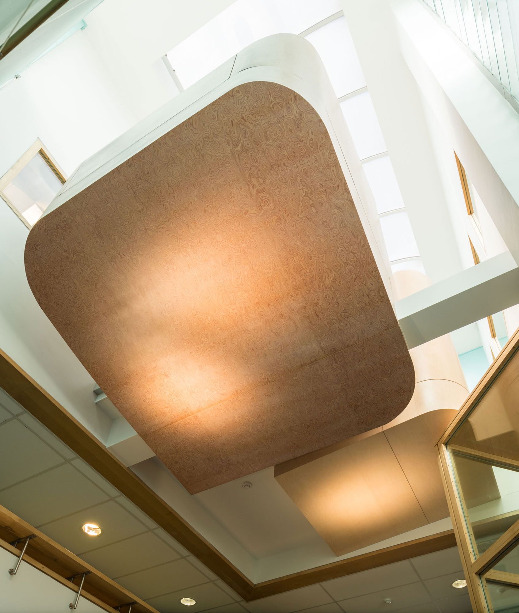 Bute House School - Mackenzie Wheeler Architects & Designers London